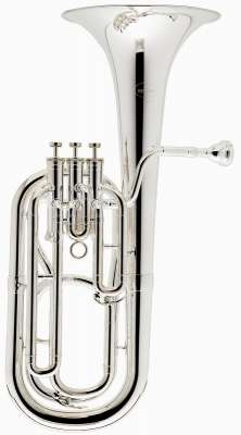 Bariton - ein voller und warmer Klang - Musik Wittl